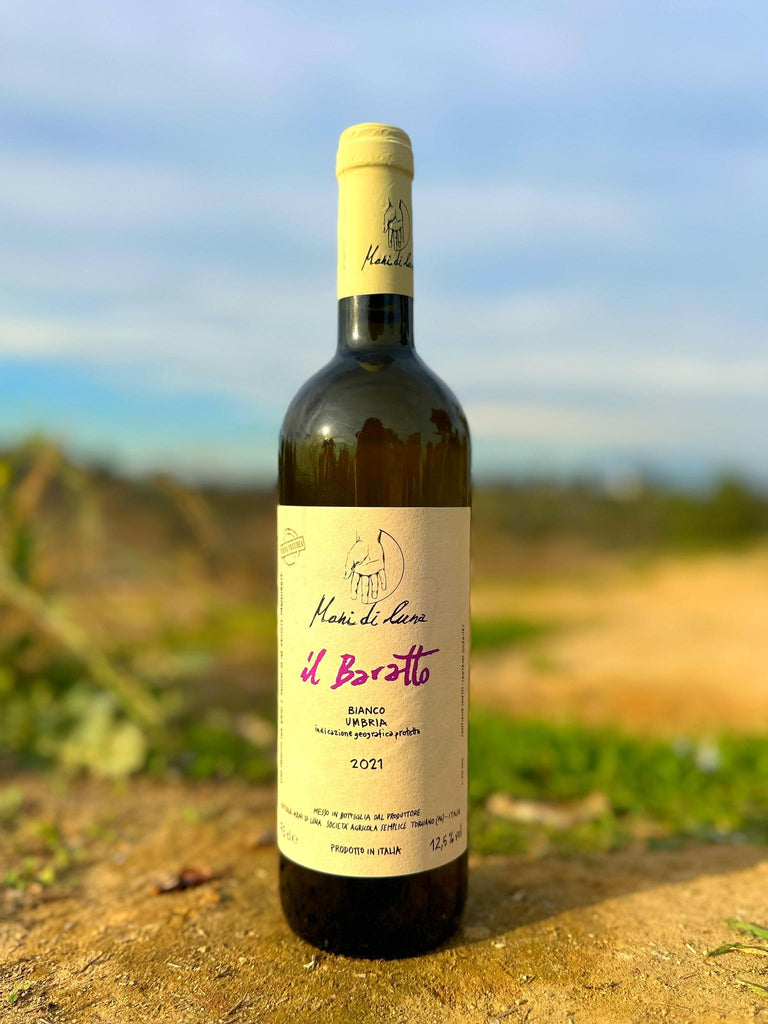 Italian White Wine – Highland Park Wine